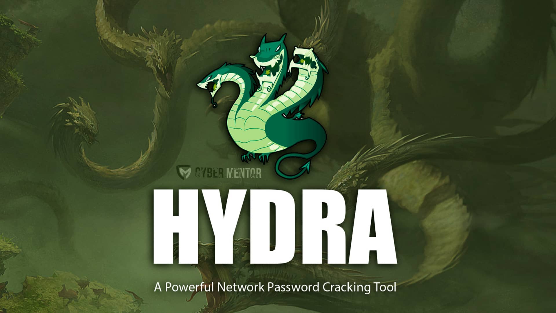 Hydra: Explicación y Uso de Ataque por Fuerza Bruta » CM
