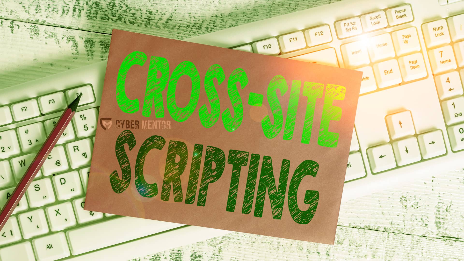 Ataques XSS: Definición y Seguridad Web » CyberMentor