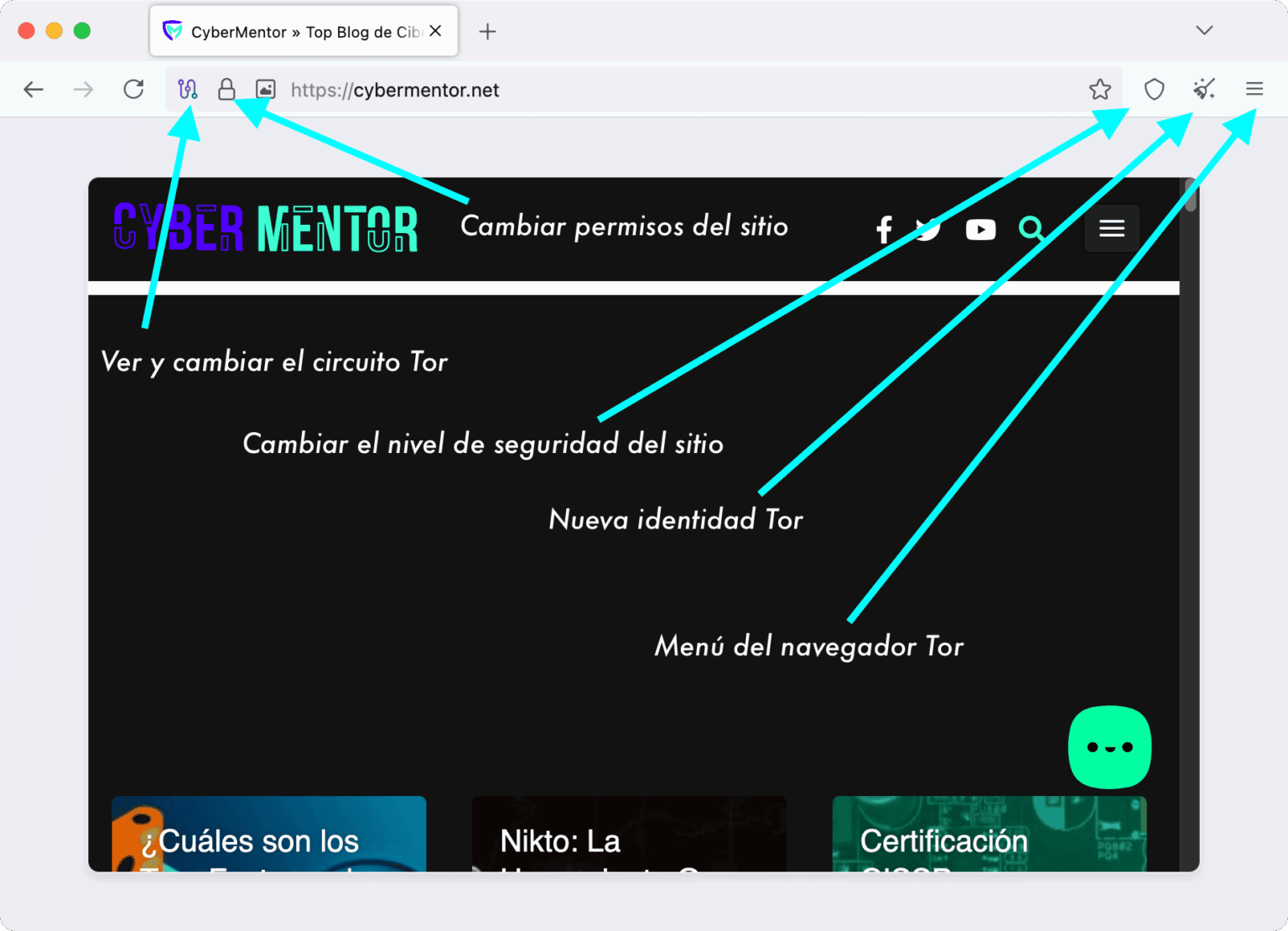 Cómo Usar el Navegador Tor (Tor Browser) » CyberMentor